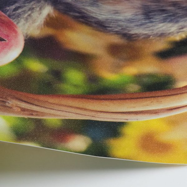 Wall Scroll Poster from 600mm - 1500mm Wide | Botak Sign Pte Ltd